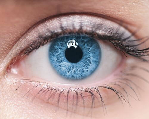 Retina Specialist Boca Raton | Retina Institute Stuart | Palm Beach